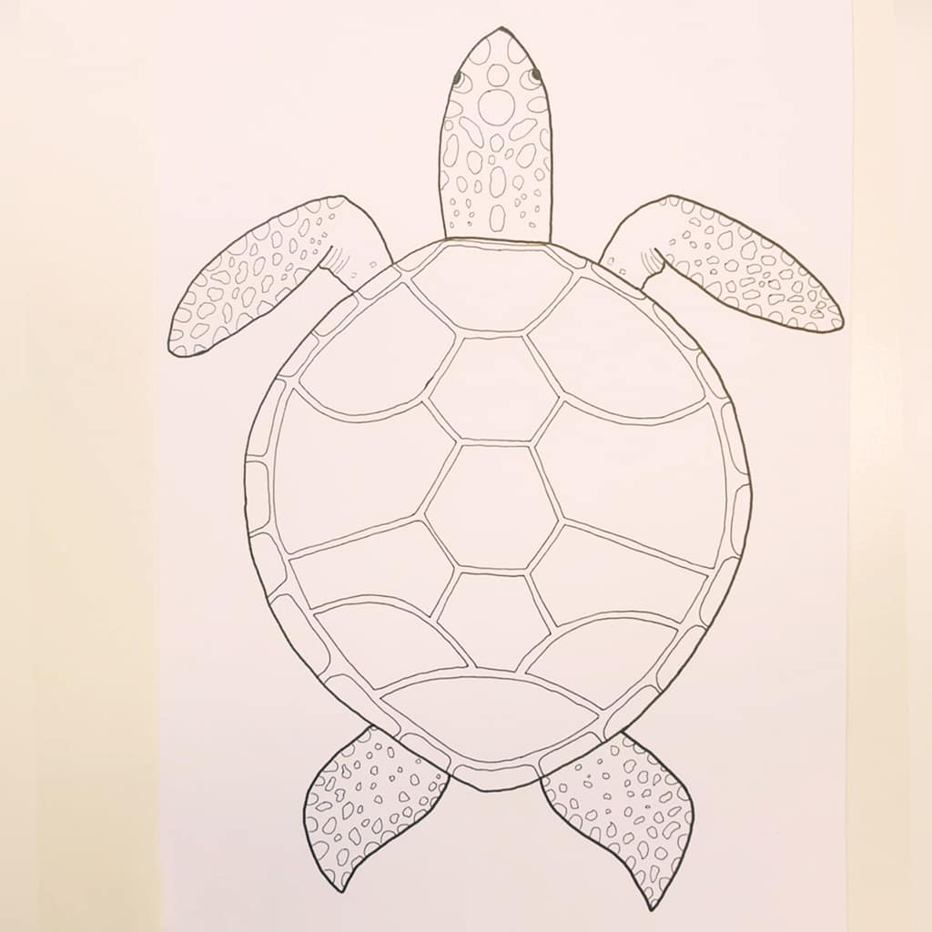 how to draw an oval in turtle