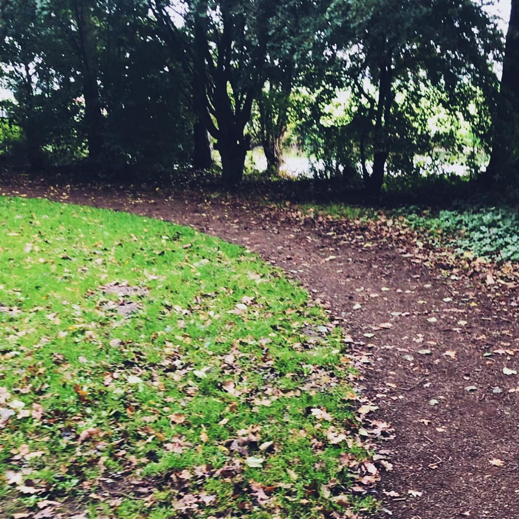 Mindful leaf drawing exercise • The Creative Cooldown